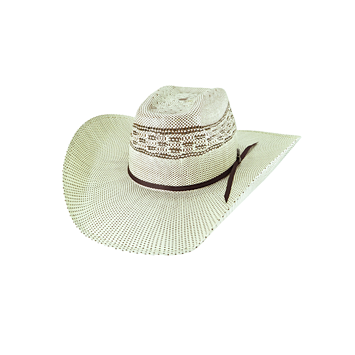 BAILEY Shandrach Cowboy Hat – Alberta Boot