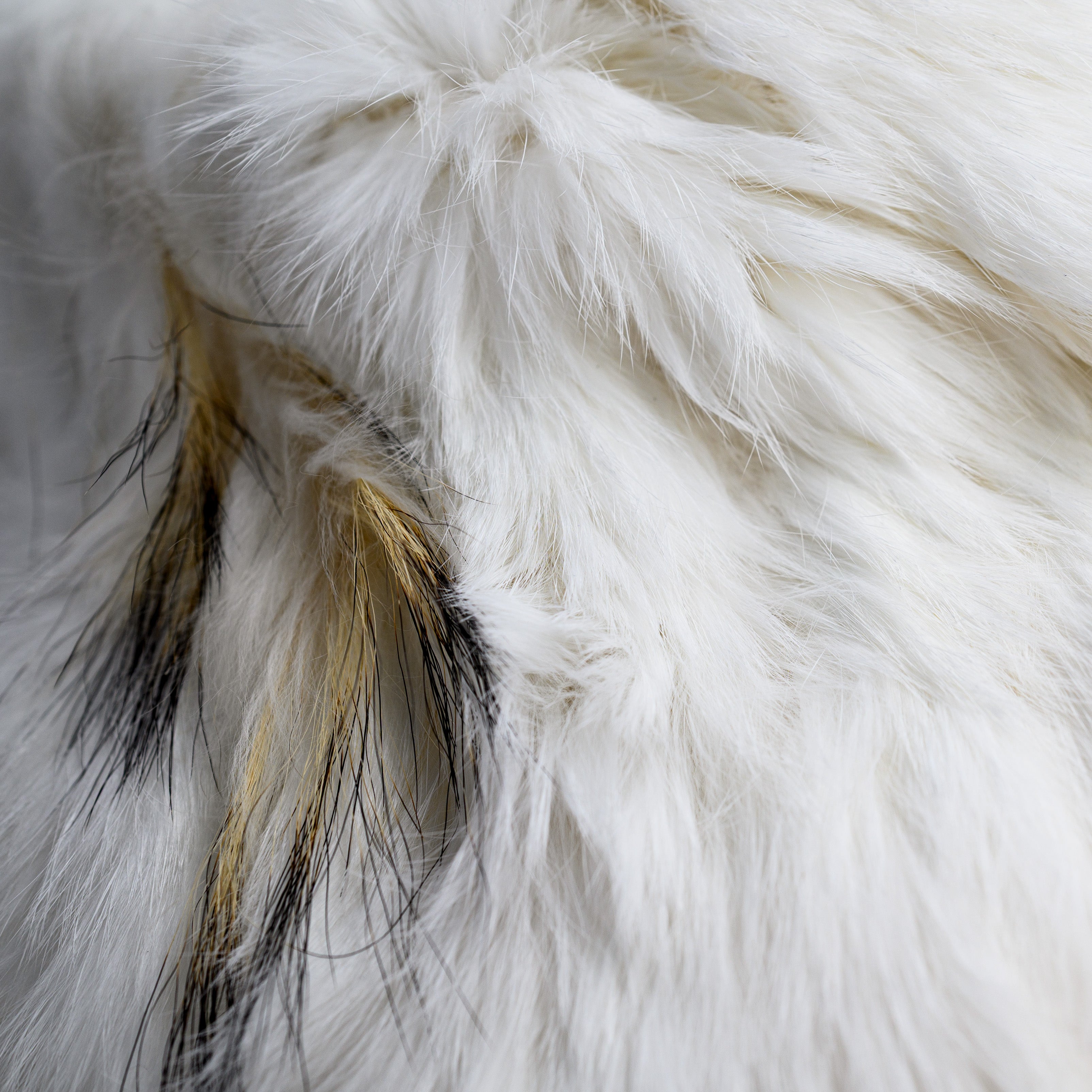 MORRIS KAYE & SONS Rabbit Poncho – Cody & Sioux